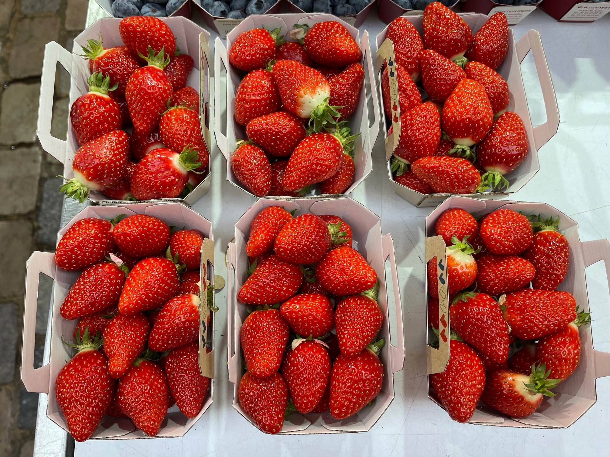 Fraises Gariguettes : livraison domicile à Paris en 2h